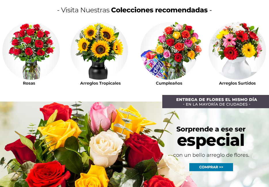 Envio de Flores a Domicilio – Florerias en Hispanoamérica | daFlores.com