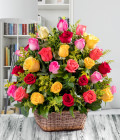 Peru | Four Dozen Assorted Roses